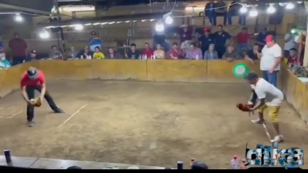 Gallo se lanza contra su dueño durante una pelea en palenque de Colima